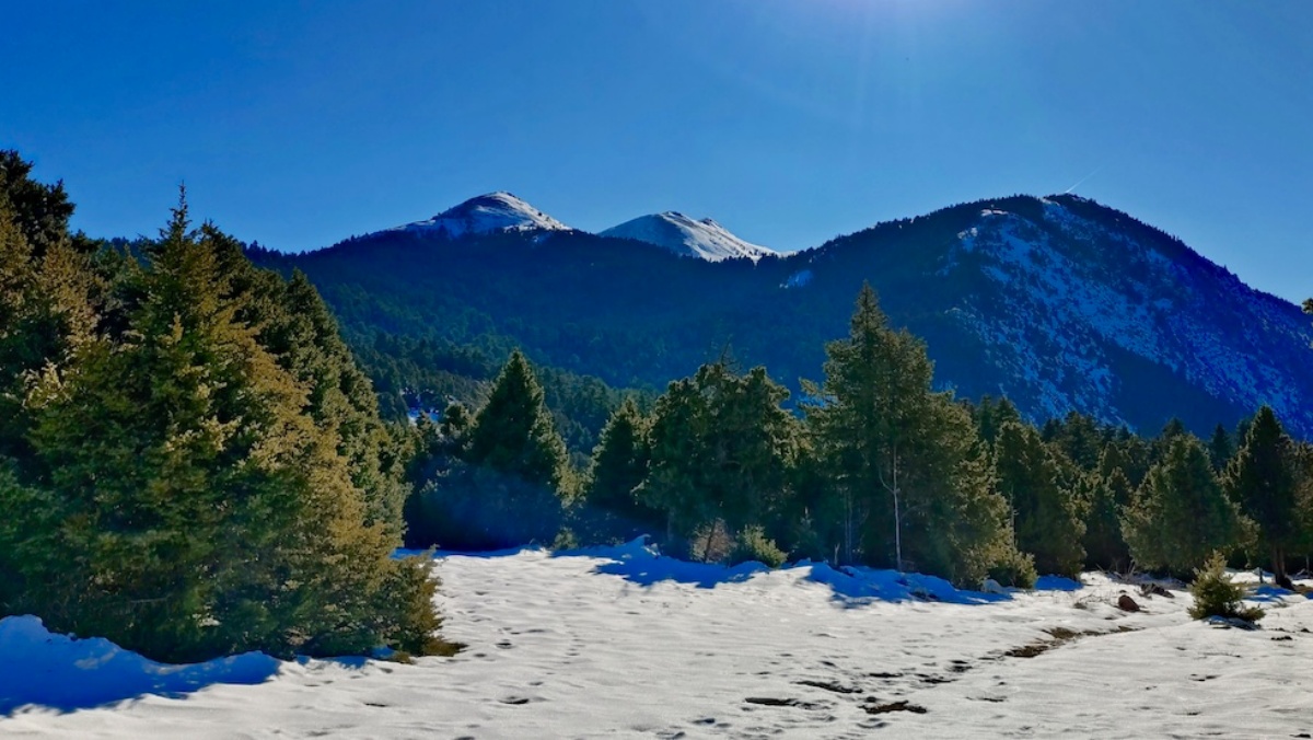 The plateau of Mt Parnonas – belleelene